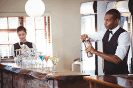 Mixology Class & Master Bartender Course
